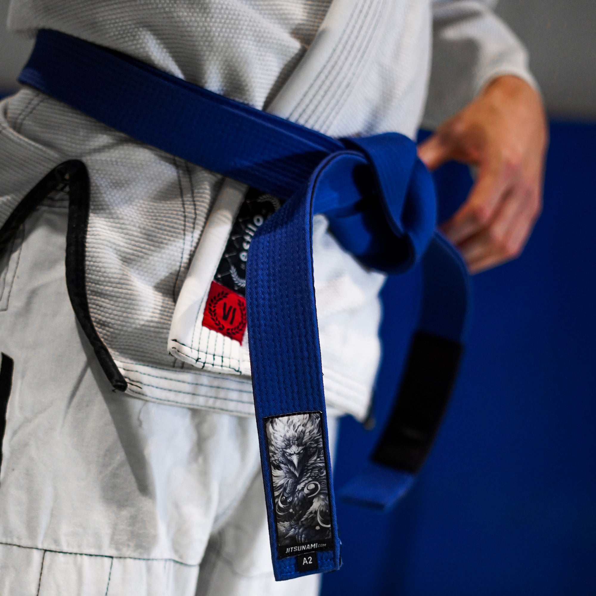 Buy Jiu-Jitsu Blue Belt 🟦 Karasu Tengu - Perfect BJJ Gift – Jitsunami