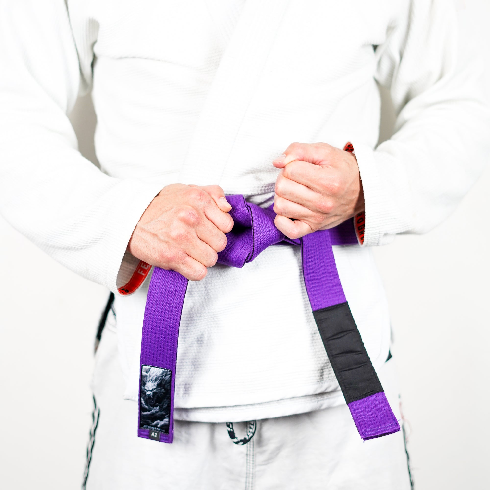 Buy Jiu-Jitsu Purple Belt 🟪 Raijū - Perfect BJJ Gift – Jitsunami